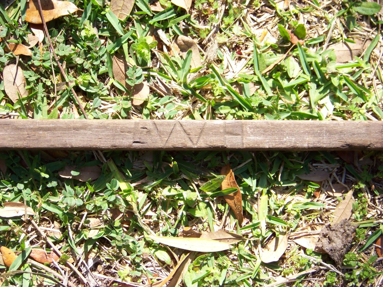 Ocracoke Island Journal: Window Prop