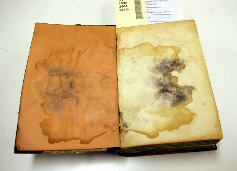 Book in Hand: Mold Removal