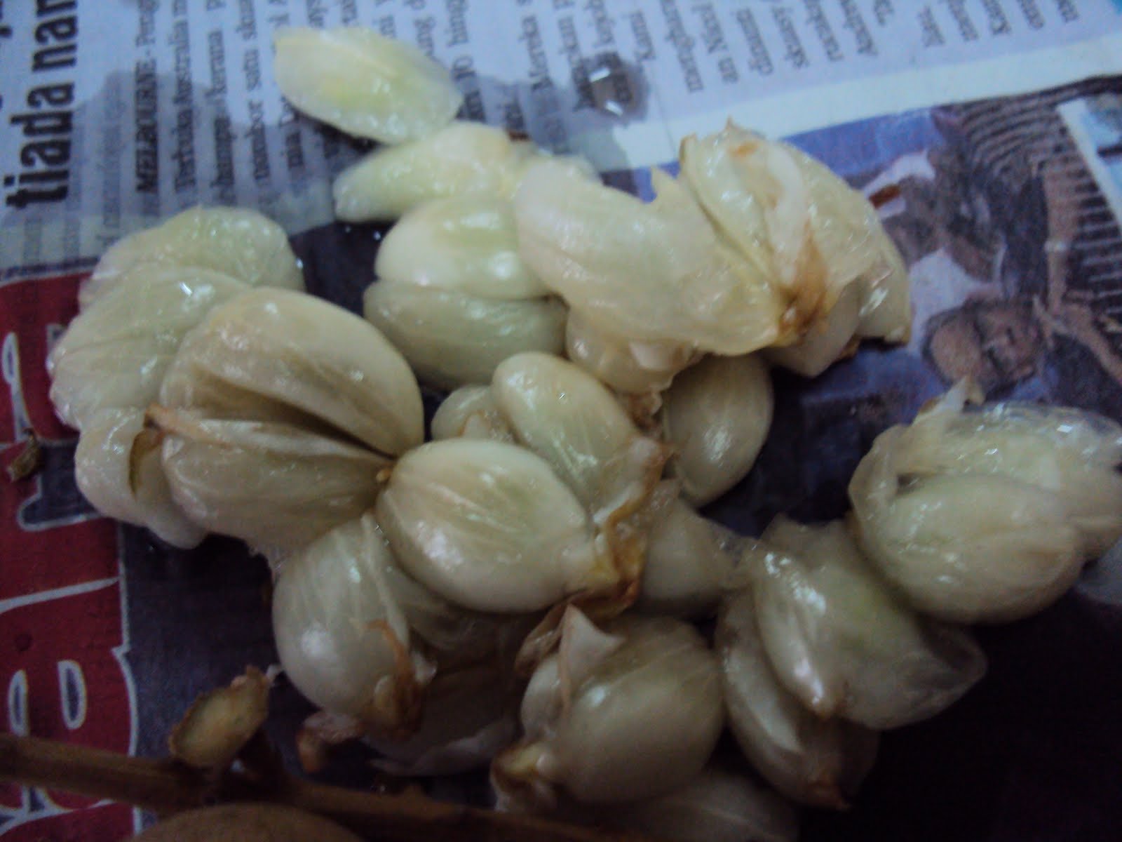 Gulai Sardin dengan Kulit Rambai... ~ SURIA AMANDA