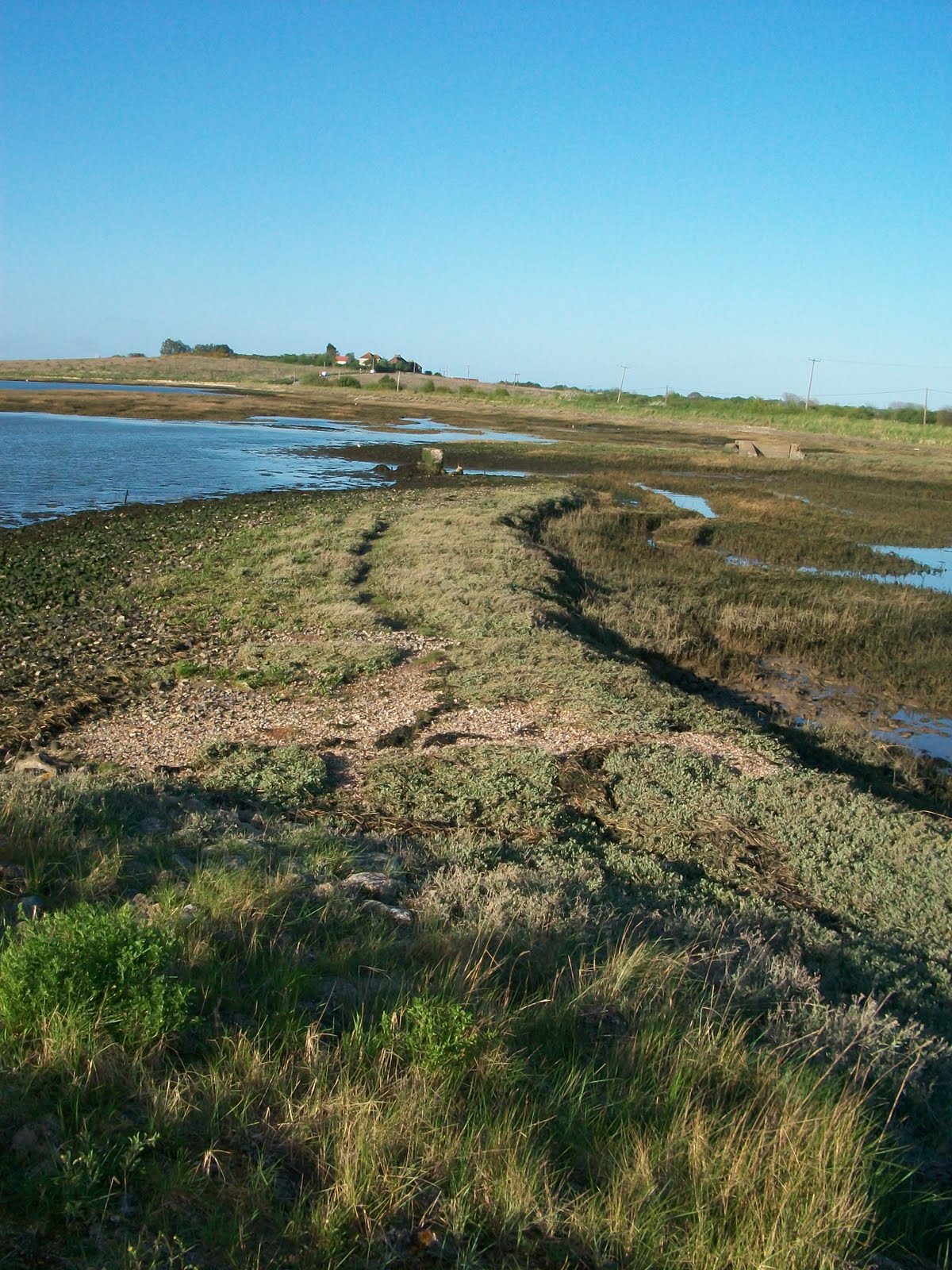 My World of Fishing: Session #11 Motney Hill