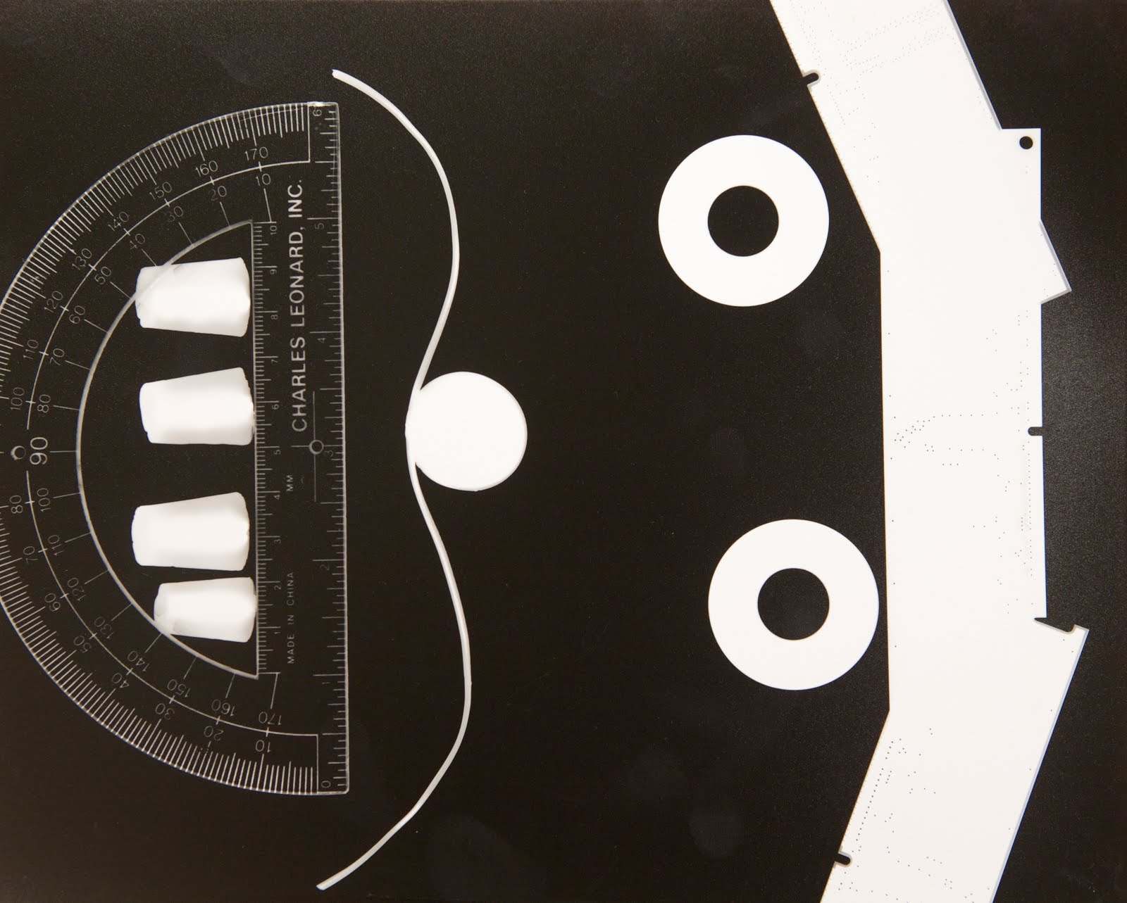 Stetson Shutterbugs: my first photograms