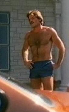 SHIRTLESS ACTORS : John Beck shirtless hot pictures