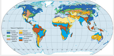 The geography classroom: Natural vegetation(Introduction) Read this first!