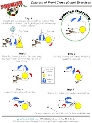 Dog Training, Dogs and Life: Front Cross - Teaching the Mechanics of ...