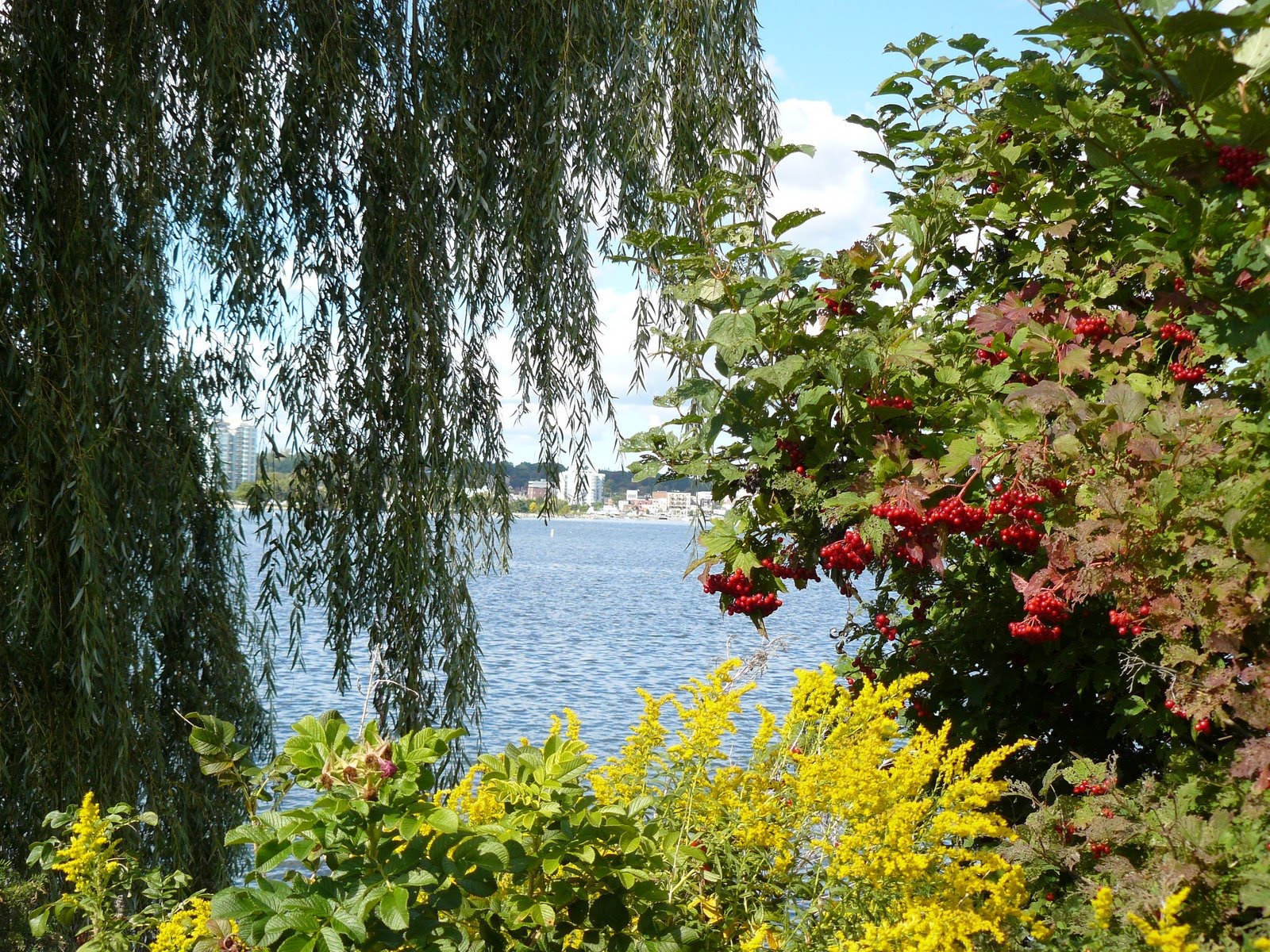 Day Trips, Getaways & All Things Fun North of Toronto: Barrie Lake ...