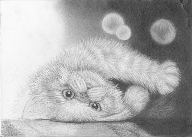 piękne-rysunki: Rysunki koty