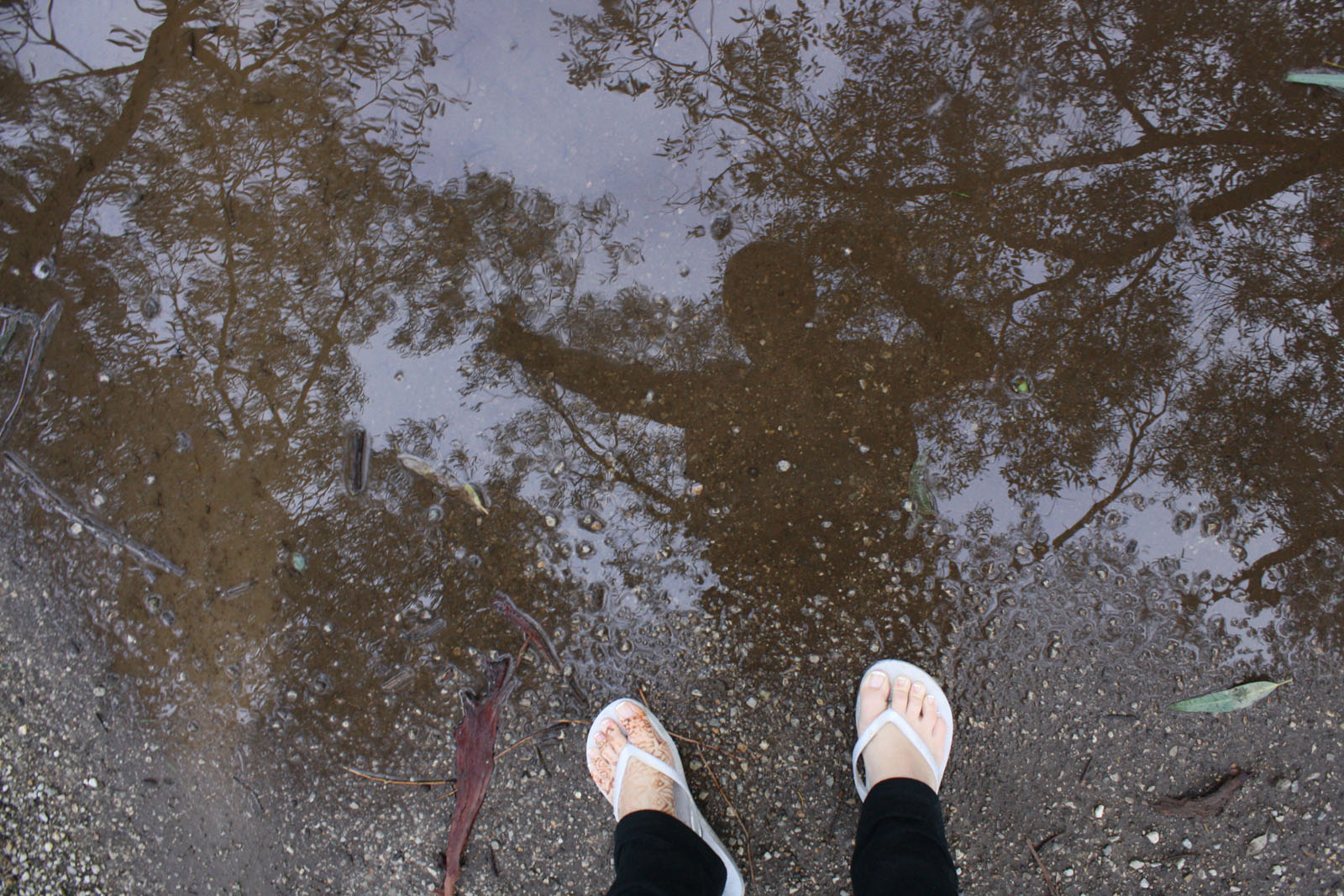 Allegra Photography: Puddle Reflections