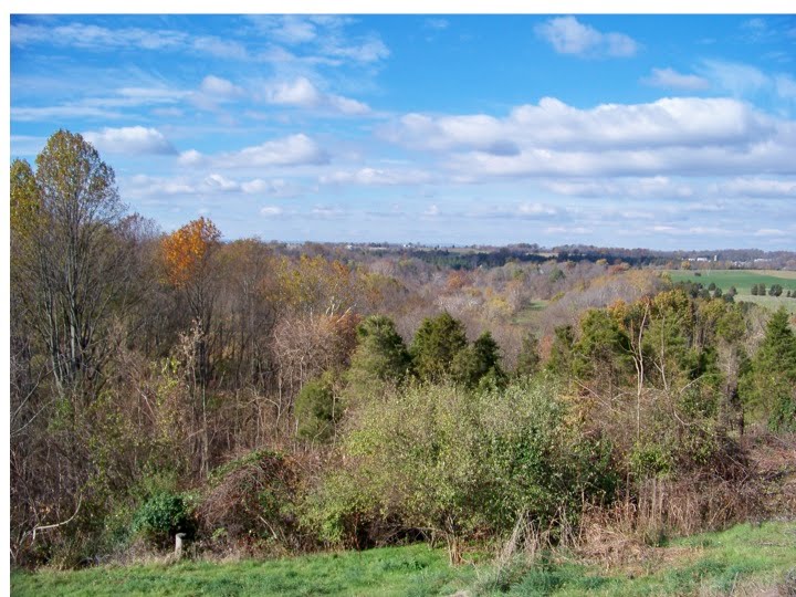 South From the North Woods: New Antietam Overlook from the Pry House