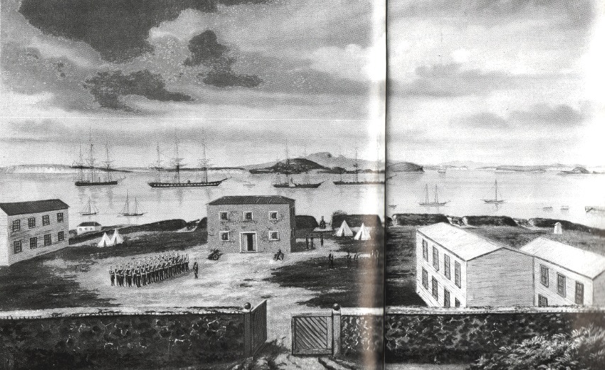 So how did you get here then: The New Zealand Wars