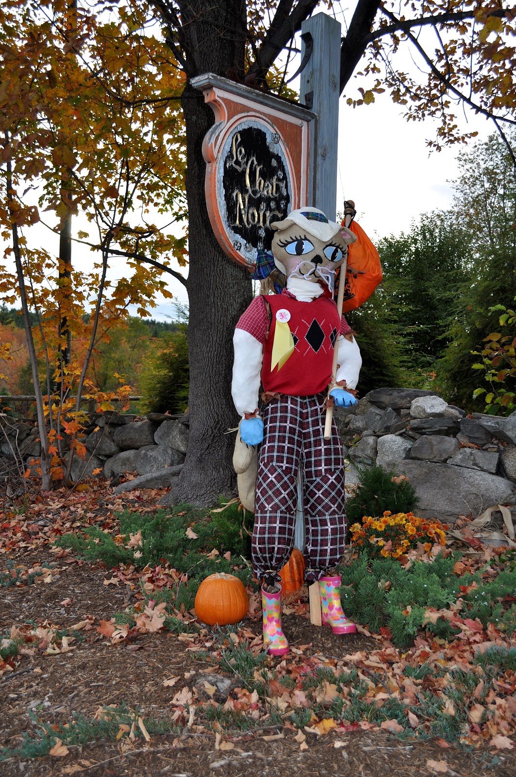 Michele Natali Photography: Scarecrows all around Chester, NH