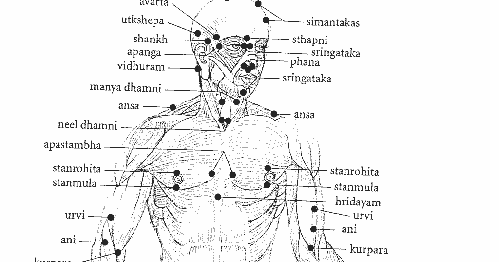¿Qué son los marmas?