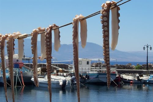 PEIRATIKO REPORTAZ: ΤΟ ΧΤΑΠΟΔΙ ΕΠΙΑΣΕ ΣΤΑ.... ΠΛΟΚΑΜΙΑ ΤΟΥ ΤΗΝ....ΣΟΥΠΙΑ