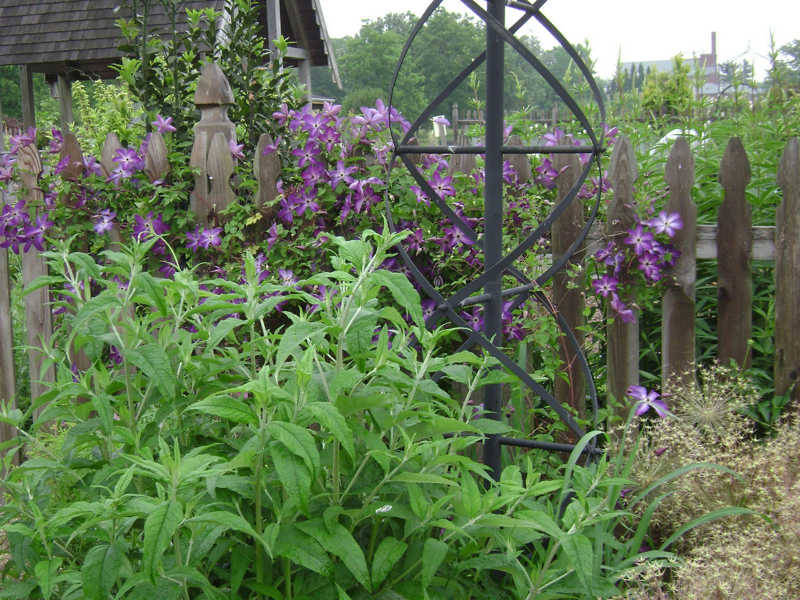 Prairie Rose's Garden: Ideas Galore in the Idea Garden