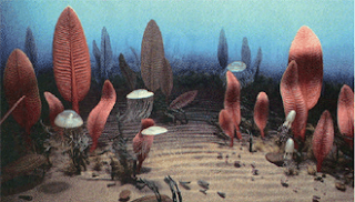 A fauna de Ediacara - Geologia? Com muito gosto!