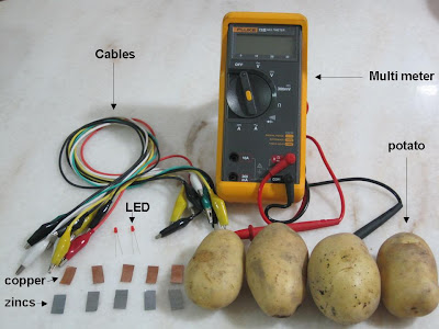 2010 science project