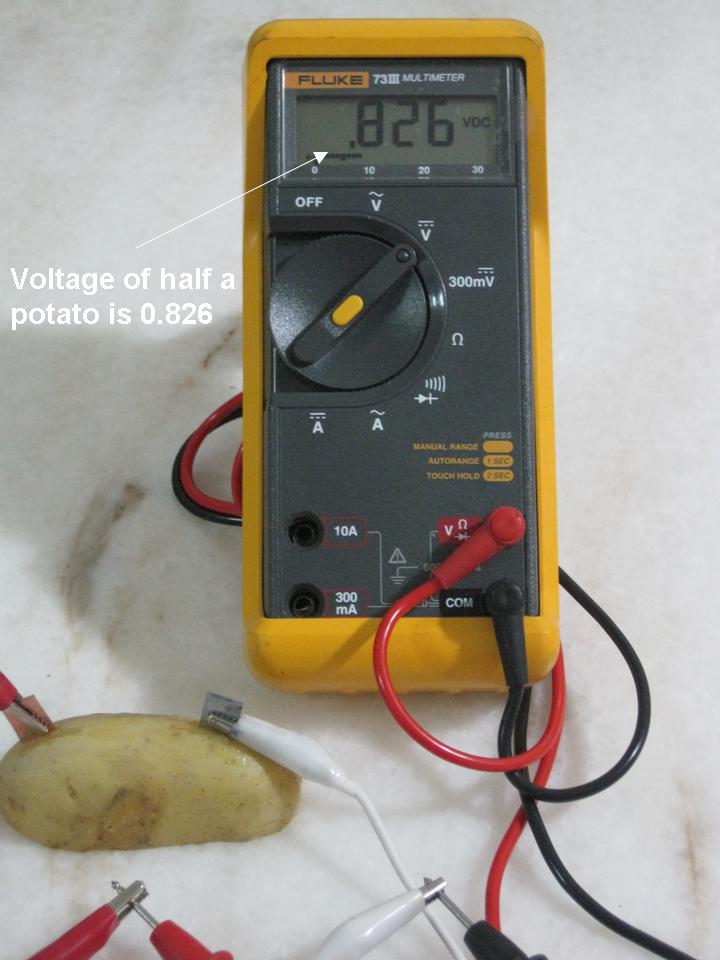 2010 science project