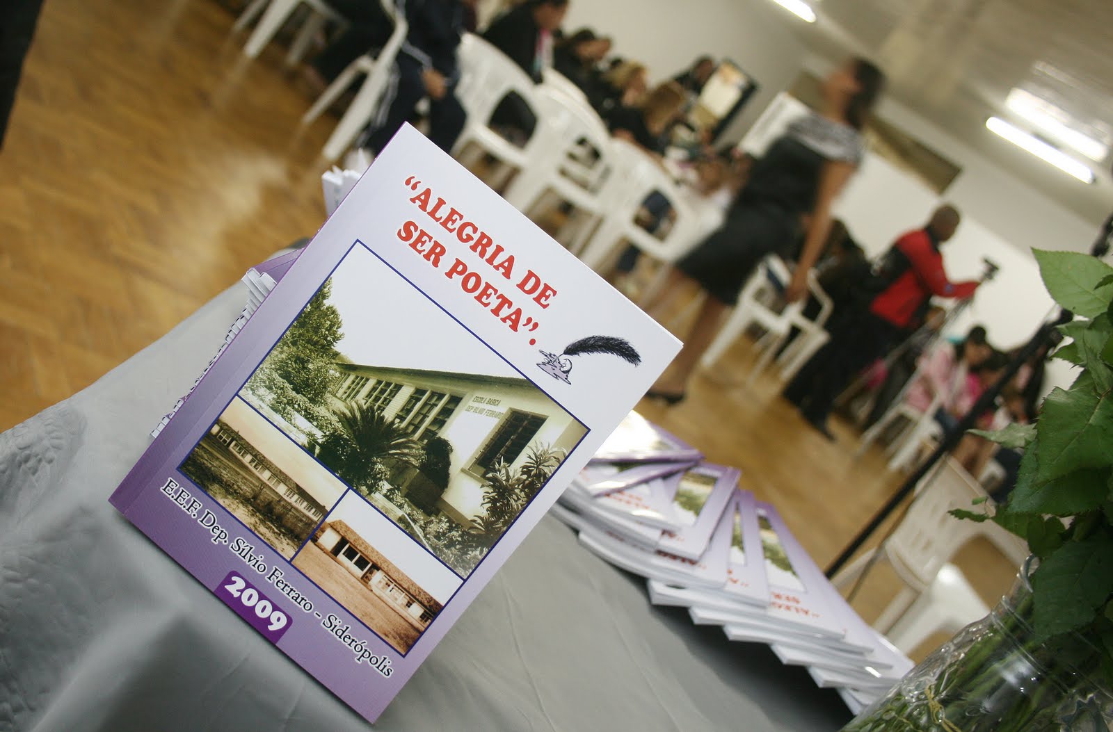 E.E.F. DEPUTADO SILVIO FERRARO