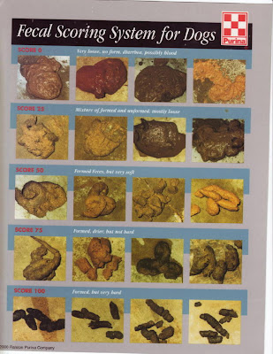 Widening Circle: Poop Chart! What score does your doggie get?