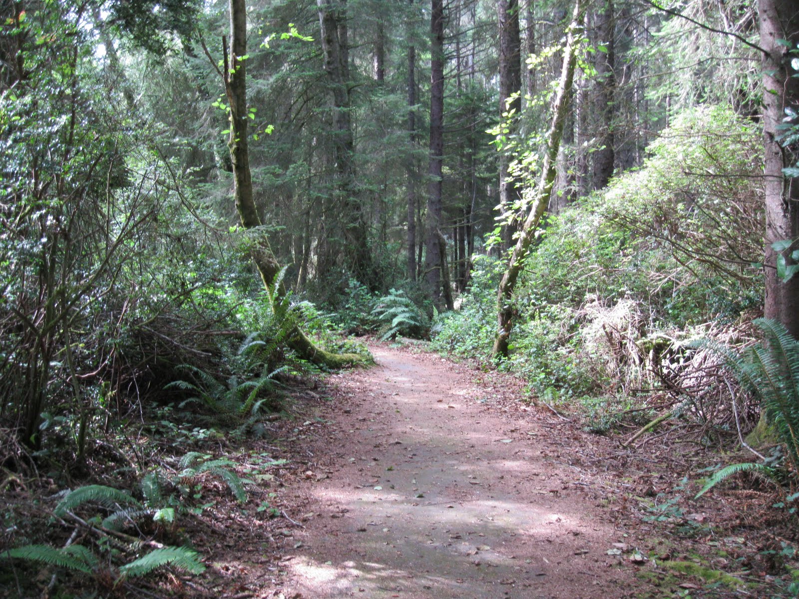Preparing to Ride Across Country: Patrick’s Point State Park