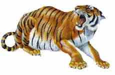 plantas e bichos: Ameaçado