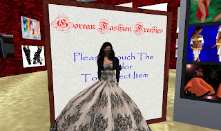 The Gorean Fashionista: Sarina's Gorean Wear
