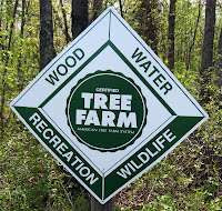 Central Pennsylvania Forestry: American Tree Farm System Forest ...