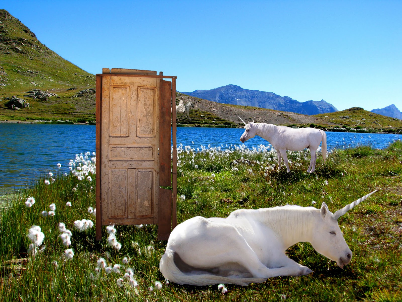 Every Day is Fantastic: Doorway to Unicorn Land...