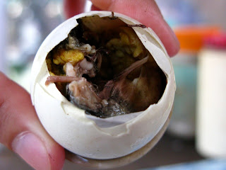 Jess's Many Mini Adventures in Srok Khmer: Khmer Food -- Baby duck ...