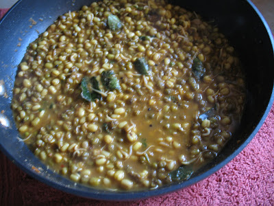 Indian Spice Trail: Sprouted Mung Bean Curry