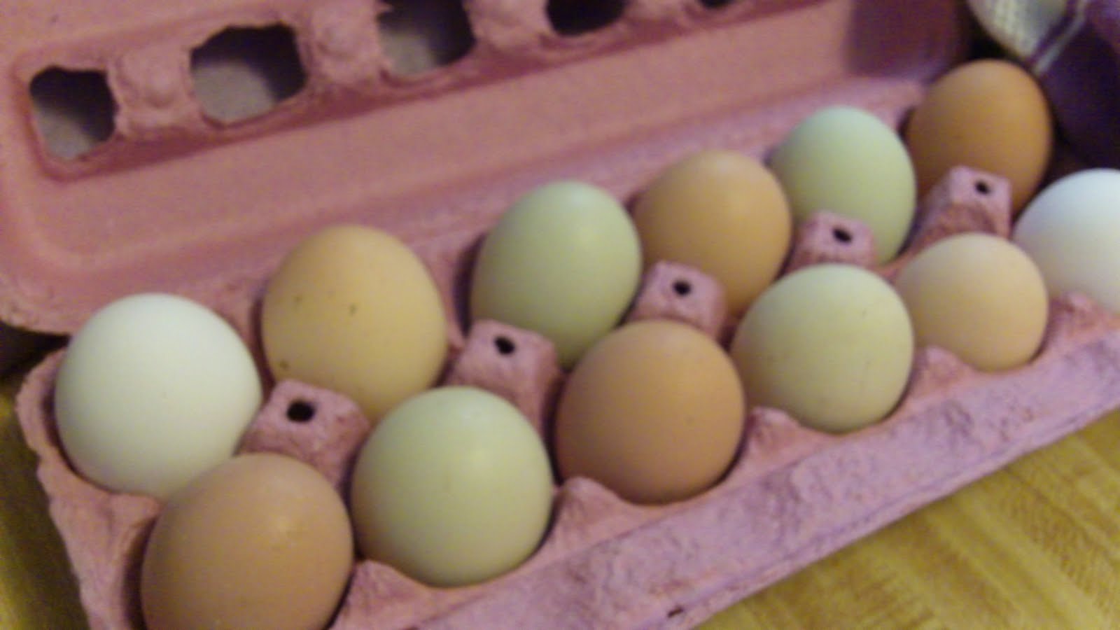 East Valley Life: October: Unprocessed - Friday Farmer's Market