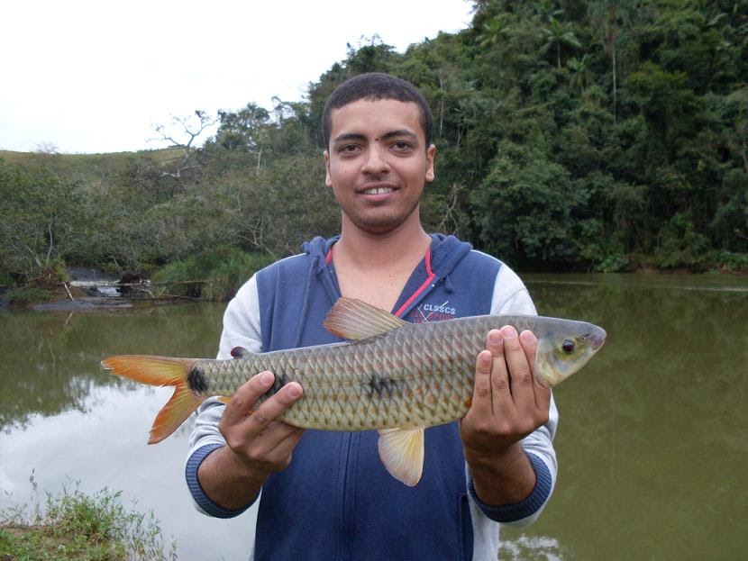 Pesca JF: Pesca do Piau no Rio do Peixe
