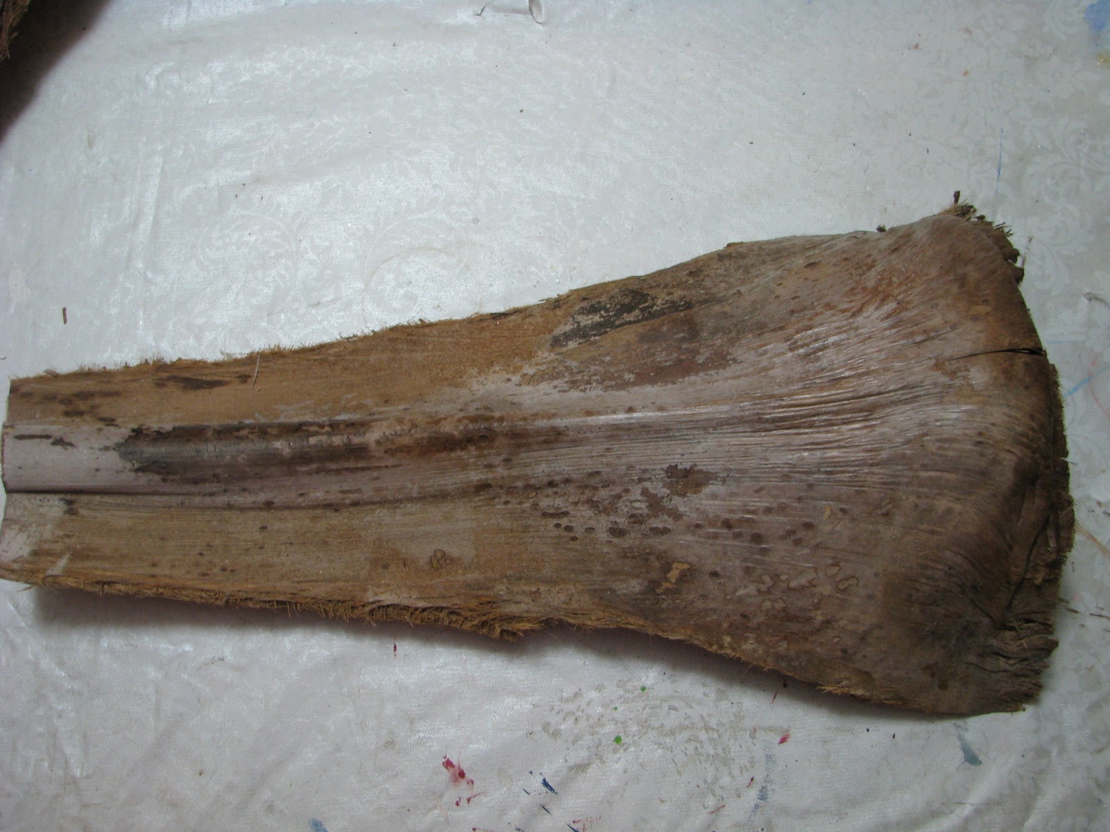 Crazy Jamie's Wonderous World: Palm Frond Crazyness