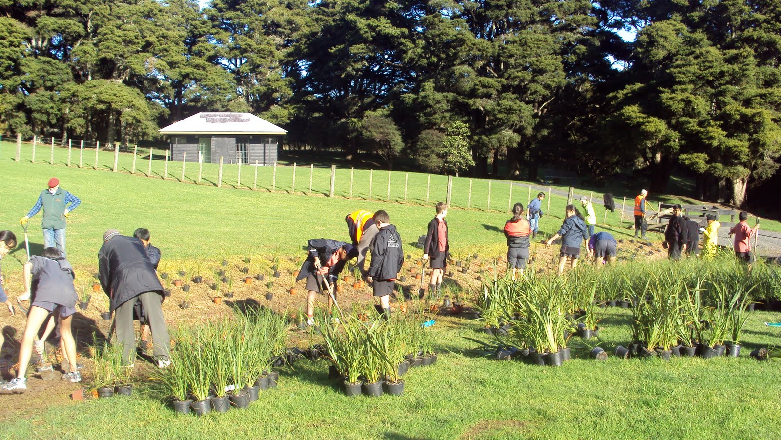 Huia 1 - Our History 2009 - 2014: Tree-planting Experience