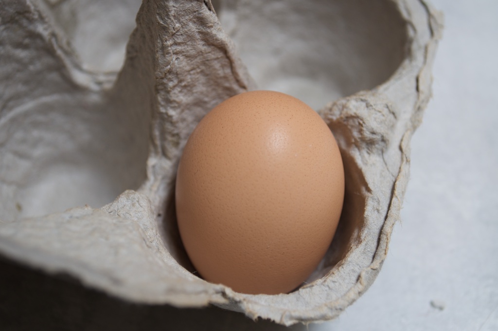 The Haphazard Homestead