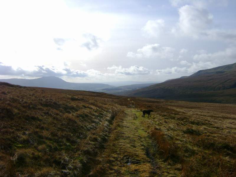 Yorkshire Dales mountains, fells & hills, by Mark Reid: Whernside (736m)