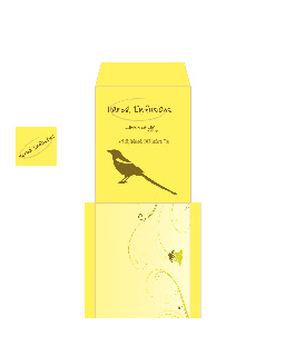 Laurin Panetta, Graphic Designer