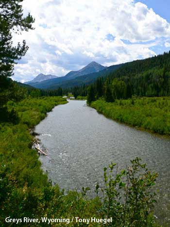 Backcountry Byways LLC: Bridge projects impose temporary 2010 closure ...