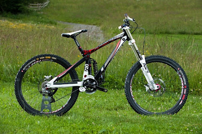 Hagoromo: 2010 Lapierre DH 920 & DH 720