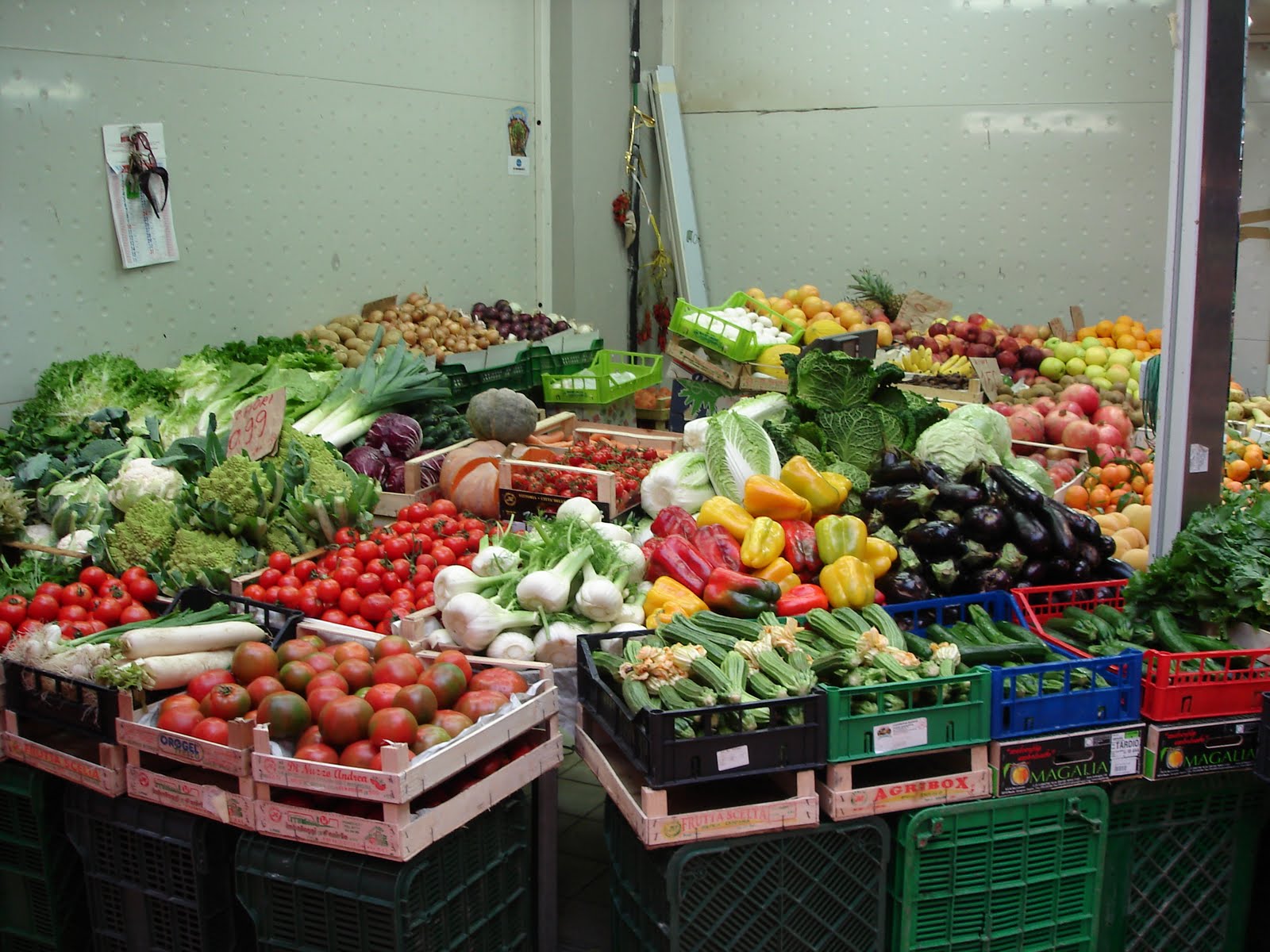 Down on the Allotment: Food Glorious Food!