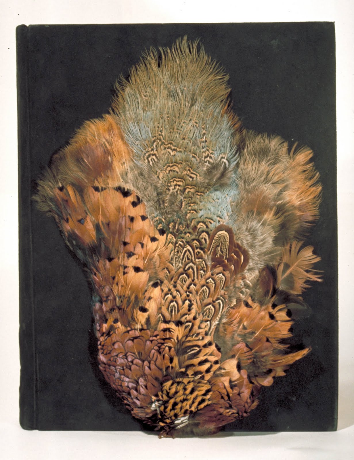 BOOKTRYST: The Breathtaking Book Art of Richard Minsky