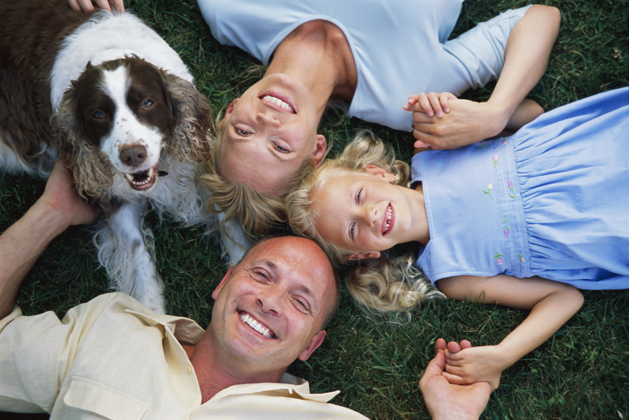 Pet -Petlove: A Dog For Your Family