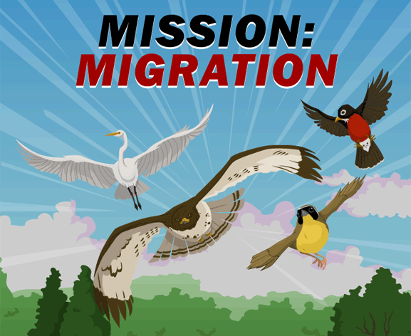 WildBird on the Fly: "Mission: Migration" online game