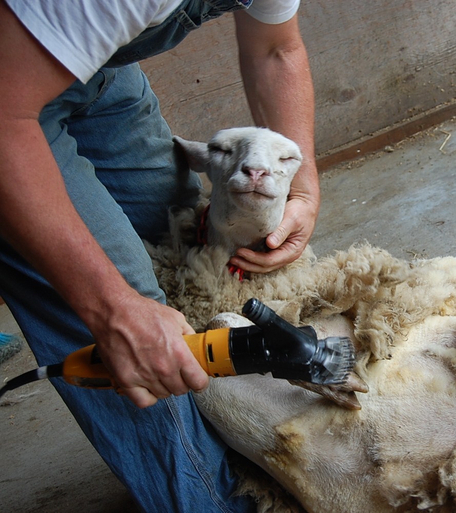 The Post Office Poems