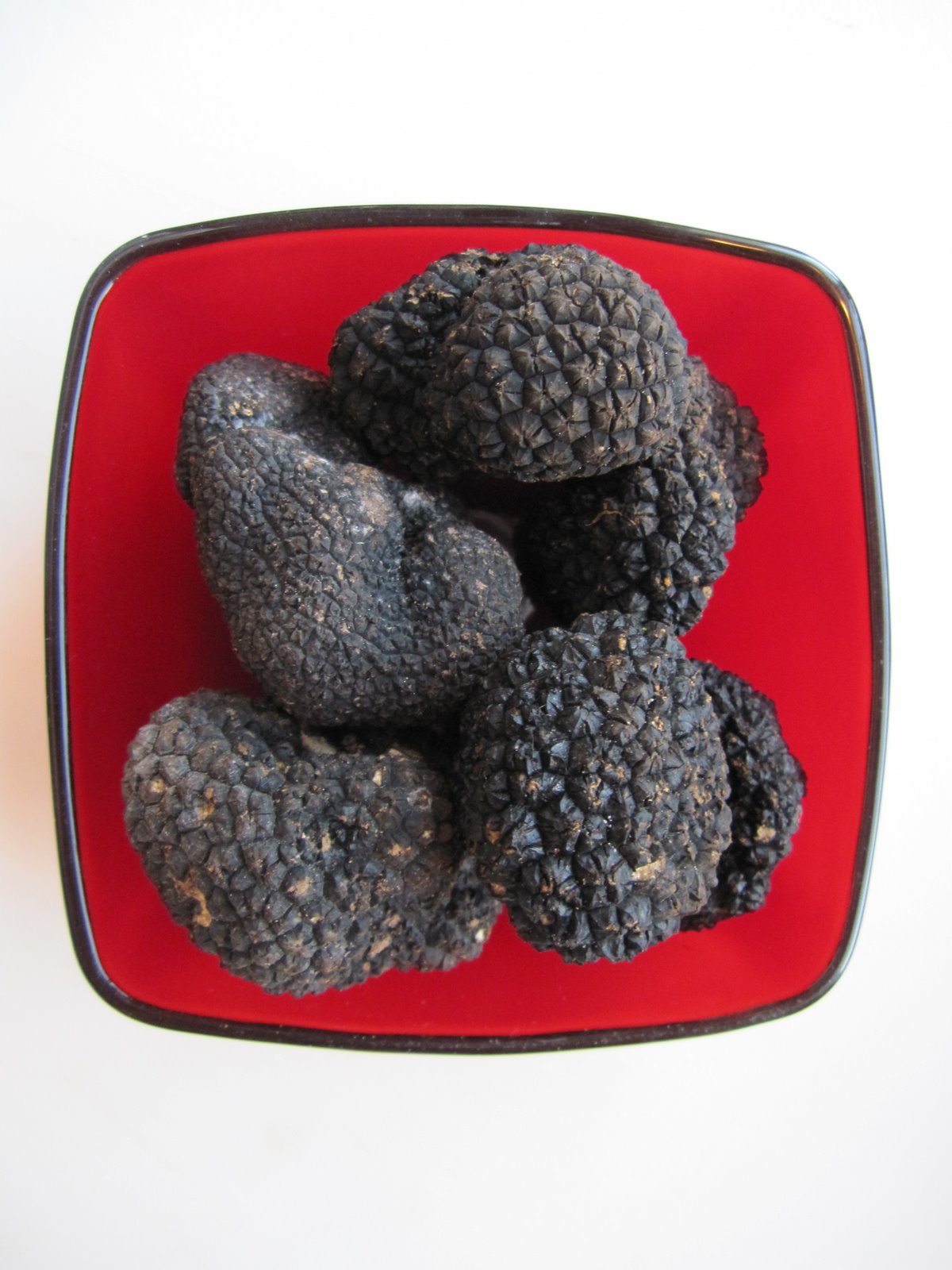 Nine-Course Truffle Dinner Party | Truffle Hunter Italy's Blog