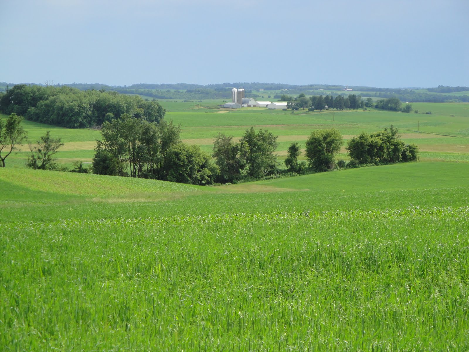 Musings from America's Dairyland: Wisconsin Country