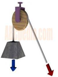 naturaleza: LA POLEA