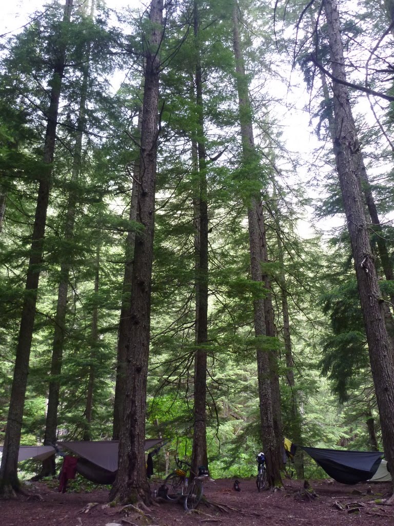 Cycling Spokane: Coeur d' Alene National Forest