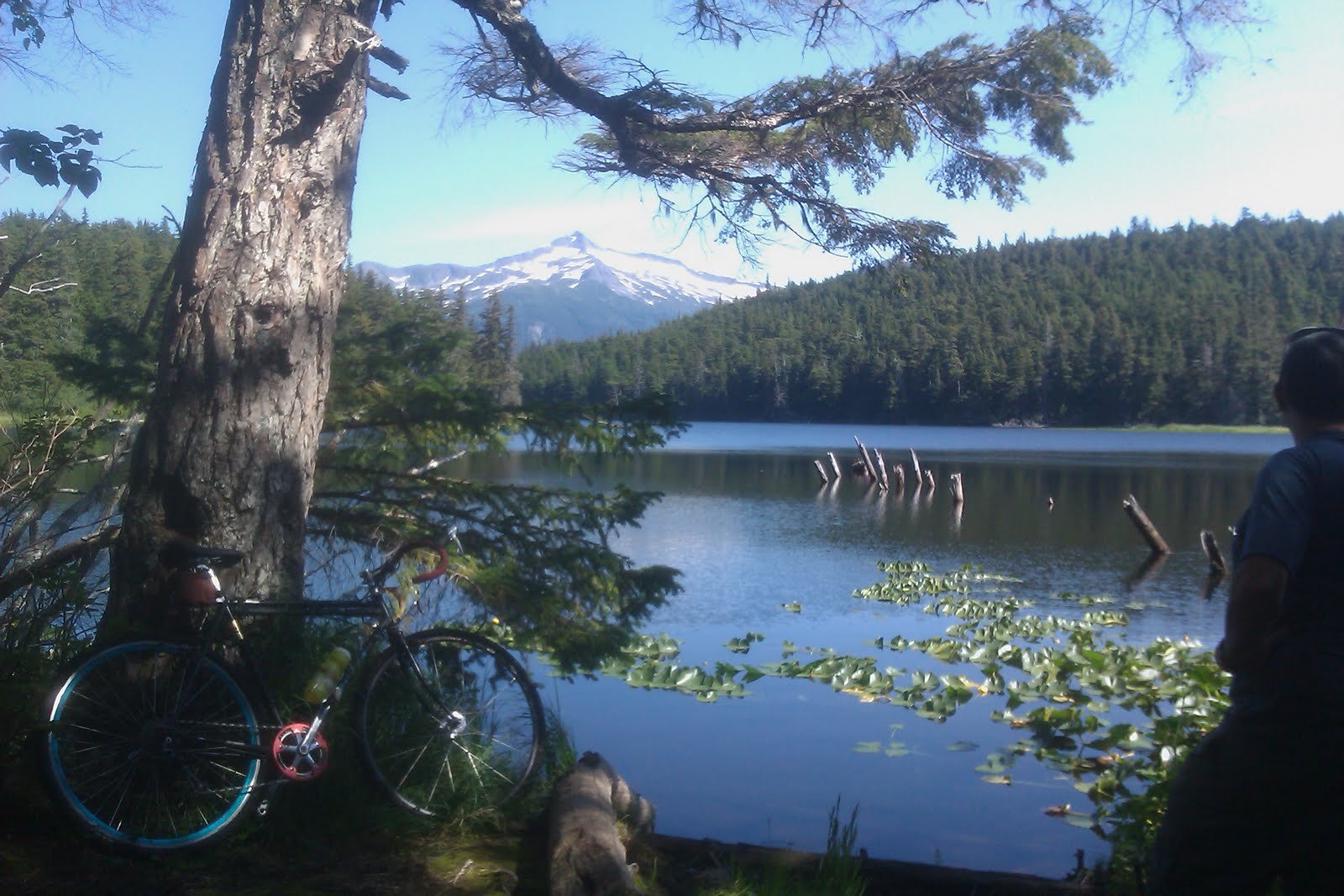 Summer 2016 Adventures: Lilly Lake