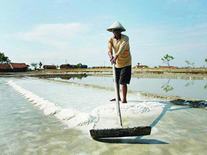 bAy cOmden KoNreiD: Pulau Garam