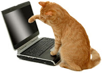 Letter from AmeriKat II: Supreme Court greets Microsoft v i4i - The IPKat